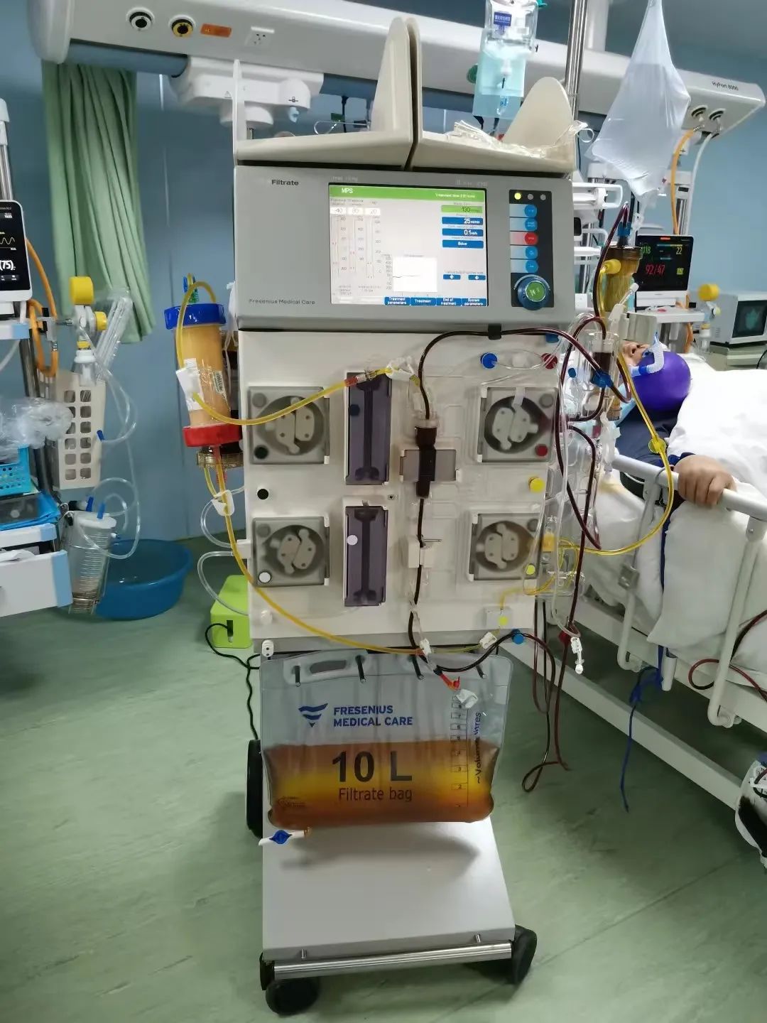 谨慎食用！大连有人吃进了ICU_澎湃号·媒体_澎湃新闻-The Paper