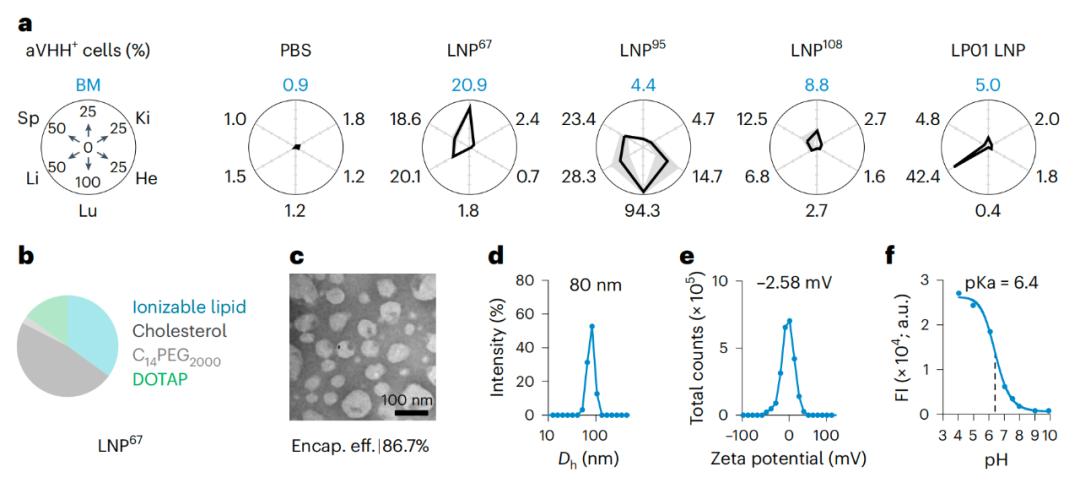 Nature子刊：新型LNP，靶向骨髓造血干细胞递送mRNA_澎湃号·湃客_澎湃新闻-The Paper