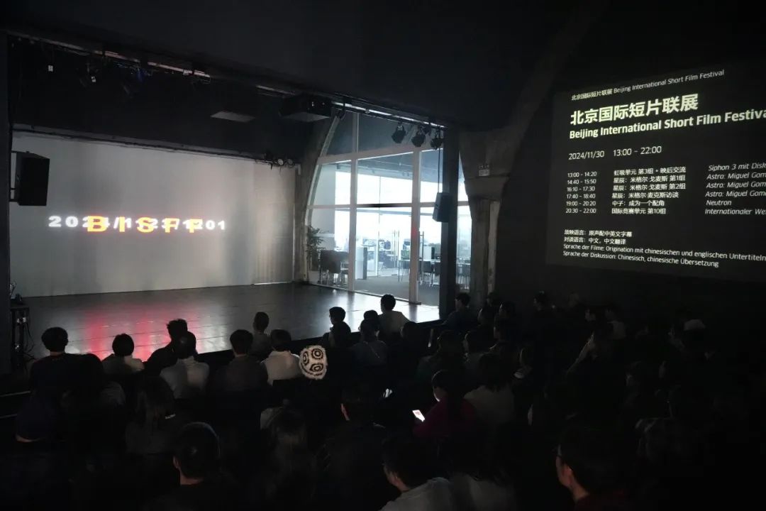 BISFF现场实录：在影像中建立复杂的能量场_澎湃号·湃客_澎湃新闻-The Paper