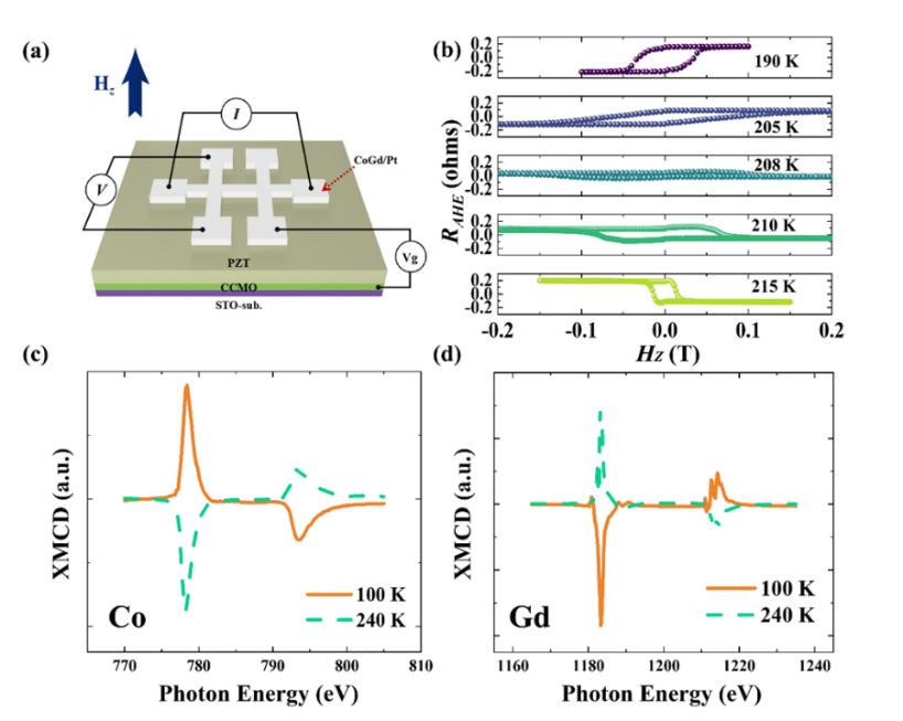 中国科学院半导体研究所王开友团队：电场调控亚铁磁CoGd异质结实现净磁矩180°翻转_澎湃号·湃客_澎湃新闻-The Paper