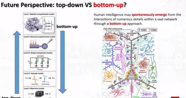 人类智能如何从大脑中涌现？大脑精细模拟重塑 NeuroAI 范式_澎湃号·湃客_澎湃新闻-The Paper