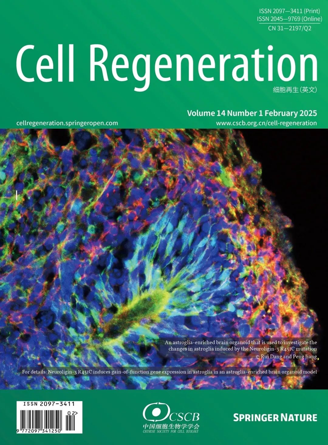 【学会动态】Cell Regen I 2025年2月刊正式出版