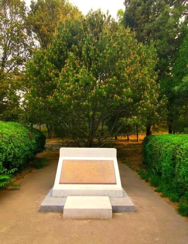 一门三院士，九子皆才俊，她才是他们最硬的后台_澎湃号·湃客_澎湃新闻-The Paper