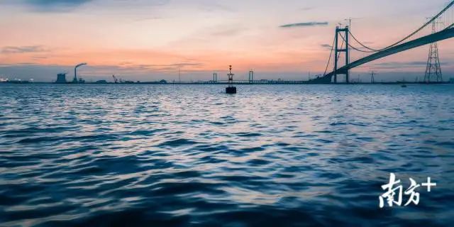 你不知道，他们镜头下的南沙有多美_澎湃号·政务_澎湃新闻-The Paper