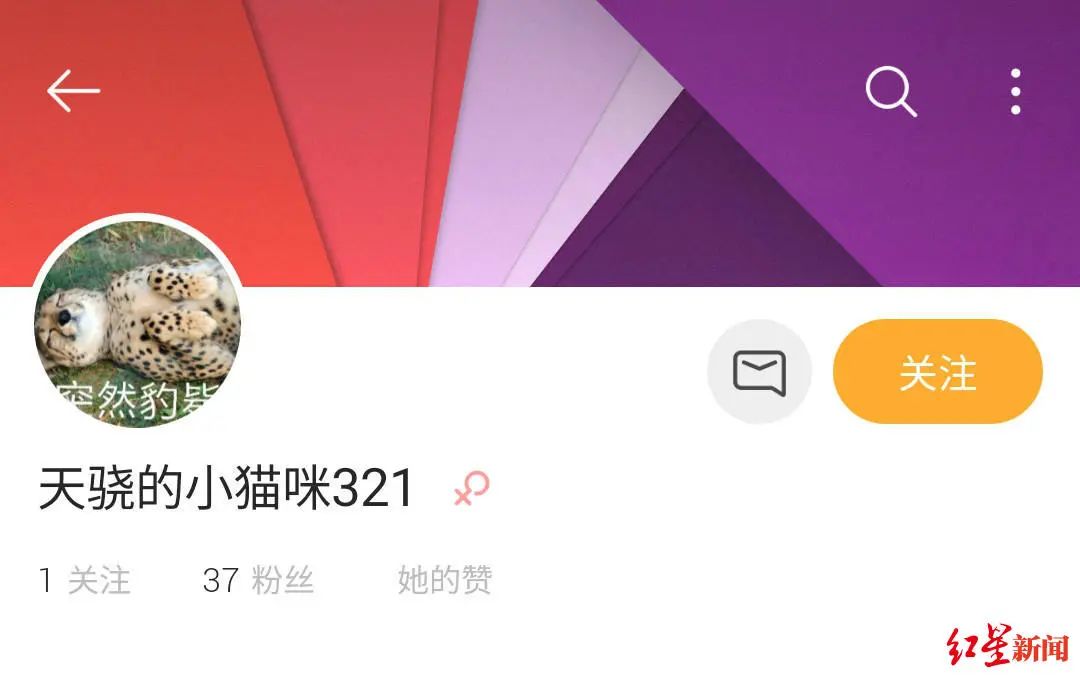 大四学生被指虐杀猫出售视频，学校：已调查，会处理澎湃号·媒体澎湃新闻 The Paper