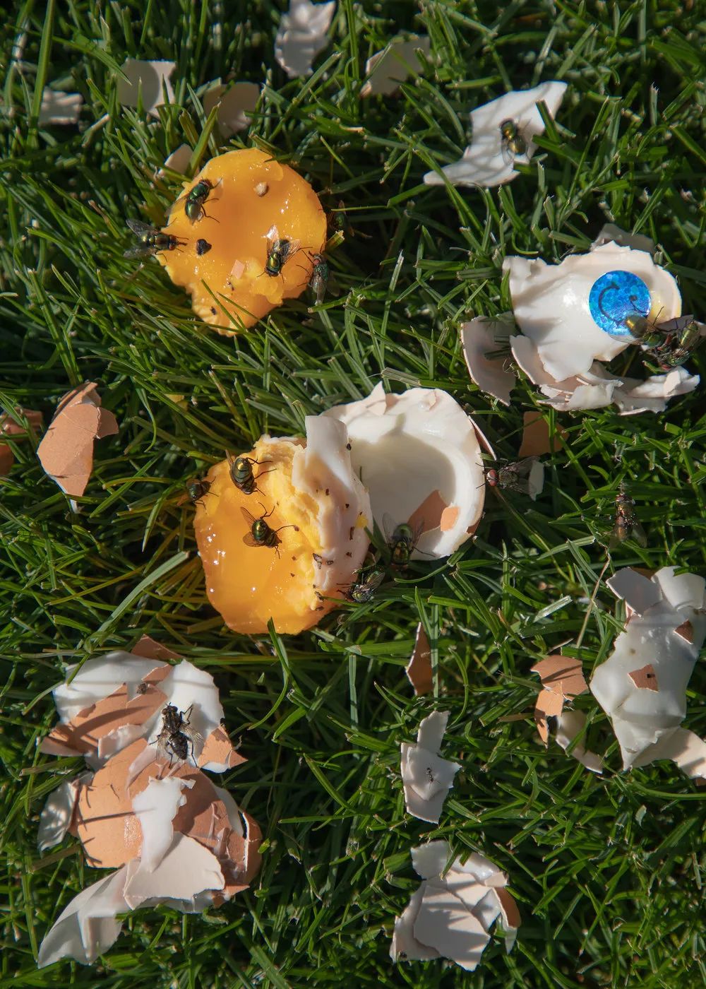 Tatum Shaw：你不能阻止即将到来的一切_澎湃号·湃客_澎湃新闻-The Paper