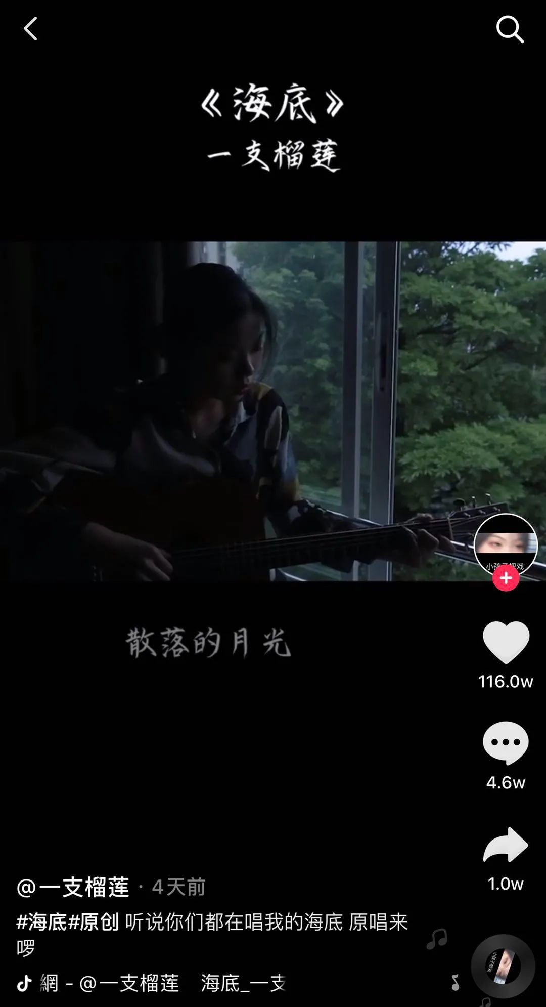 爆款何处寻，抖音网易云_澎湃号·湃客_澎湃新闻-The Paper