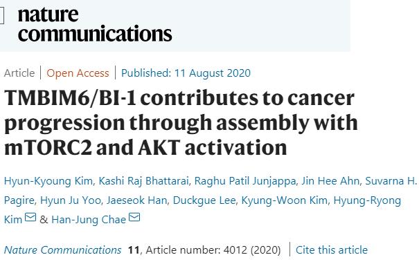 新进展，抑制TMBIM6基因可抑制原发性肿瘤的生长_澎湃号·湃客_澎湃新闻-The Paper