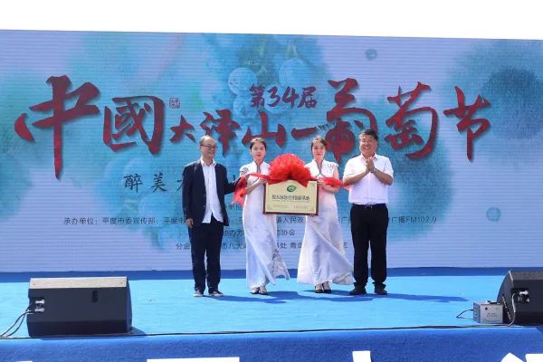 英语新闻｜Dazeshan grape planting paves road to prospe…_澎湃号·政务_澎湃新闻-The Paper