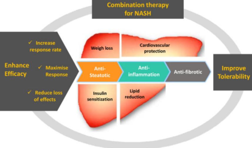 非酒精性脂肪性肝病导致肝硬化死亡率升高，如何预防？